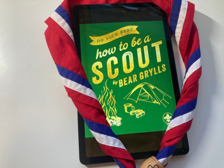 Travel Library: Do Your Best: How To Be A Scout by Bear Grylls – I Am A ...