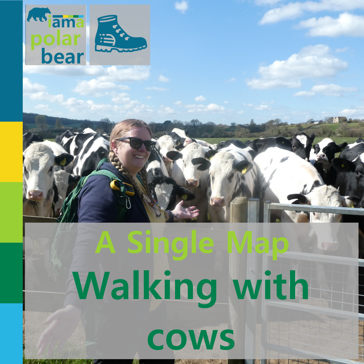 A Single Map: walking with cows – I Am A Polar Bear
