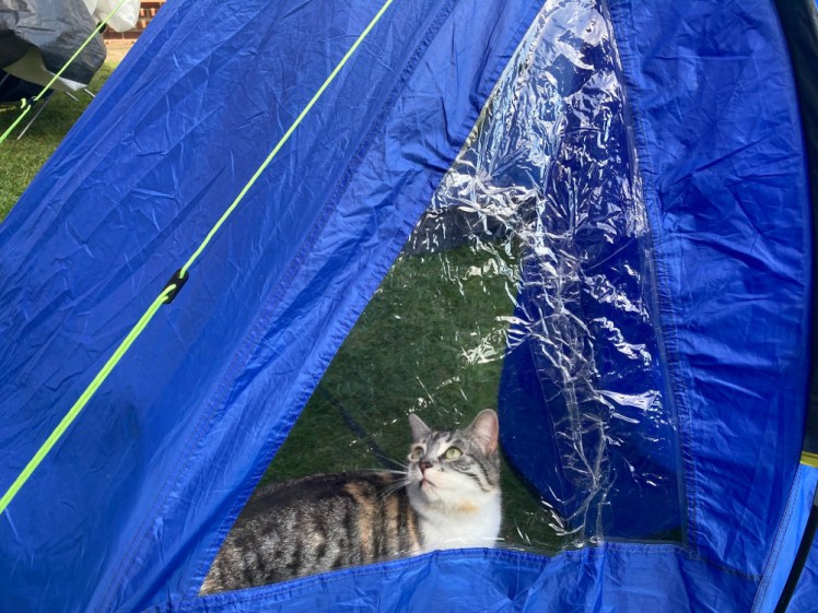 Camping for Beginners: How to repair a tent – I Am A Polar Bear