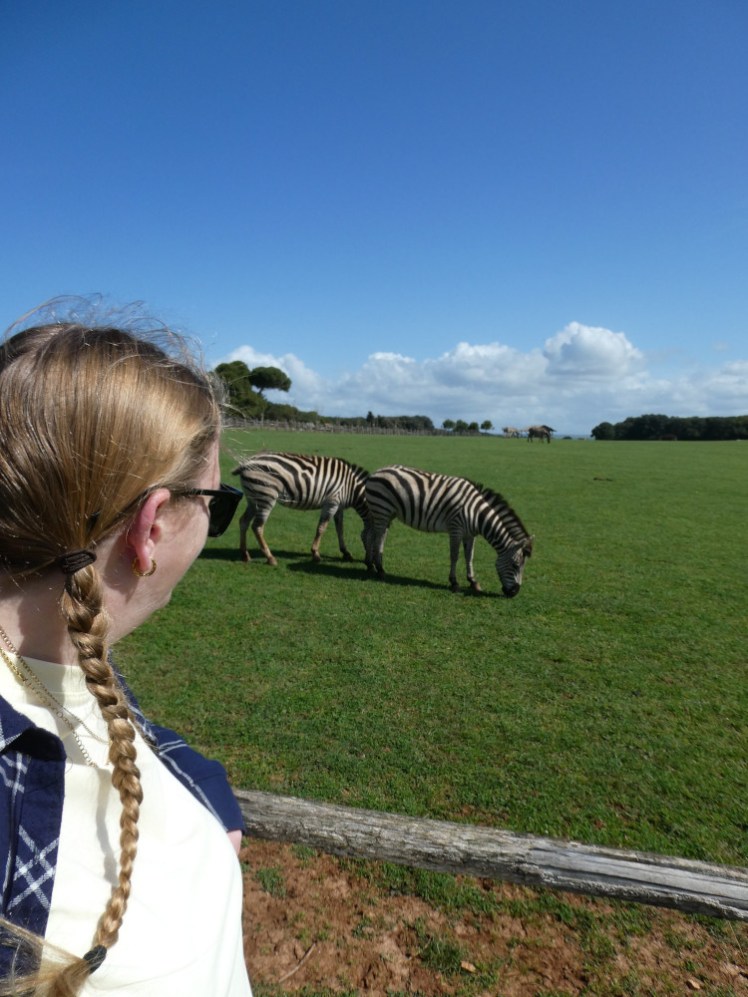 How to visit and explore Brijuni National Park from Pula – I Am A Polar ...